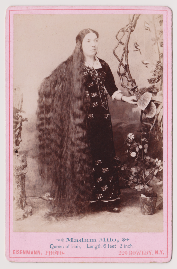 The Multifaceted Roles of Hair Fiber in Humans and Other Mammals ...